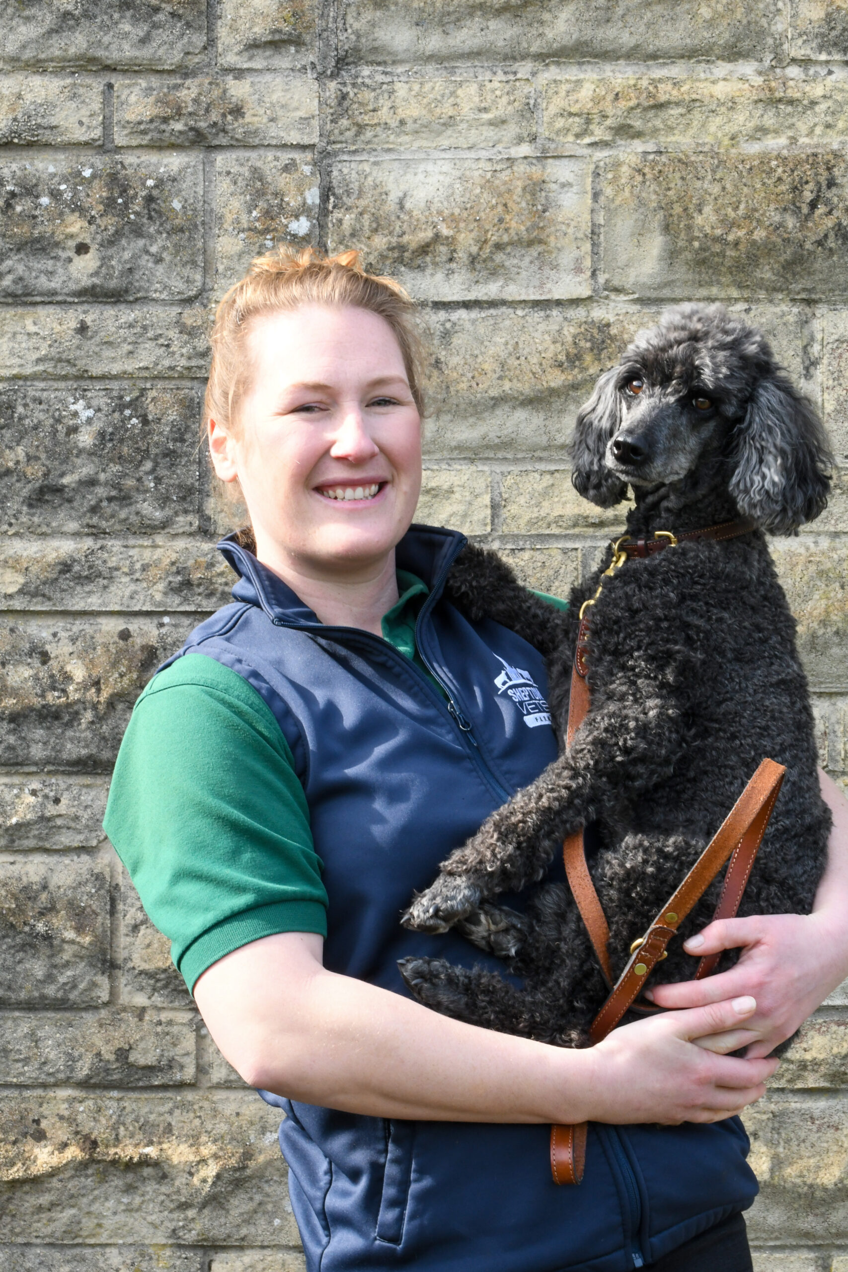 Synchronizing Sheep: A Guide to Successful Lambing : sheptonvets