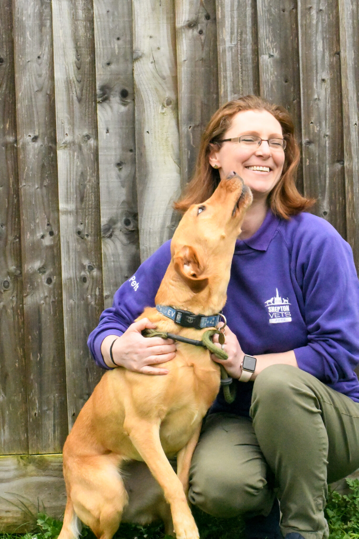 Shepton & Wells Pets: Compassionate Vet Care for Dogs, Cats & More in ...