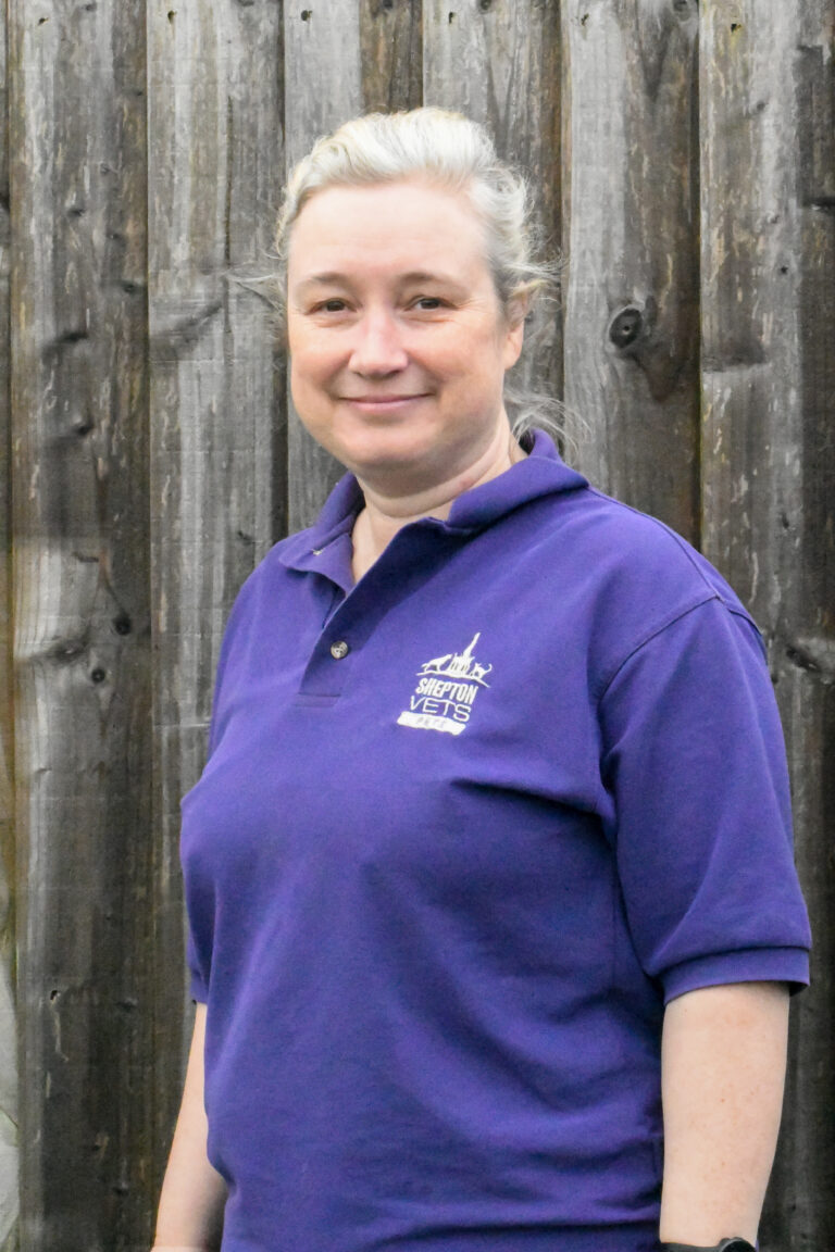 Advanced Diagnostic Imaging for Pets at Shepton Vets : sheptonvets