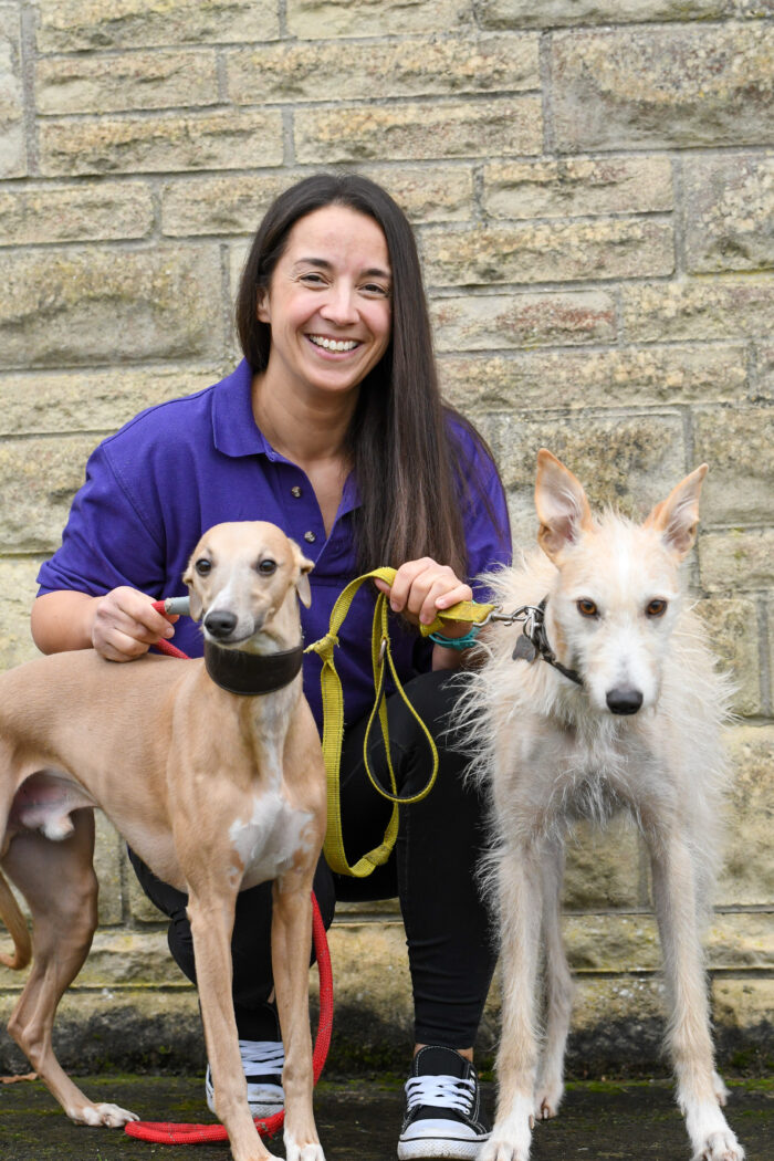 Canine Ladder of Communication: Understanding Dog Body Language ...