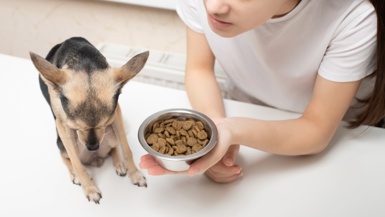 Canine Ladder of Communication: Understanding Dog Body Language ...