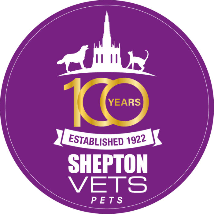 Shepton Vets: 100 Years of Caring for Animals in Somerset