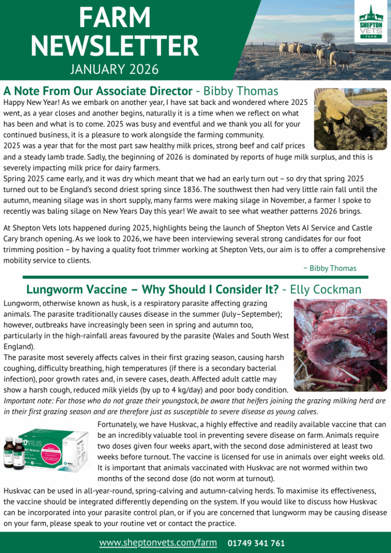 January 2026 Farm Newsletter | sheptonvets : sheptonvets