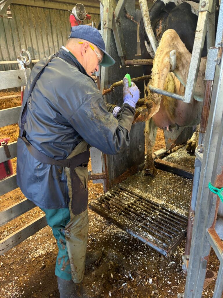Shepton Vets Farm: Save Time & Money with Farm-Focused Vet Tech ...